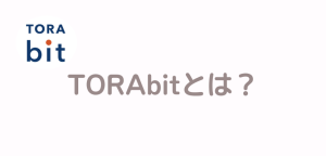 【TORAbit(トラビット)を6か月続けた感想と効果的な使い方を動画で解説】リアルな口コミ評判も紹介！