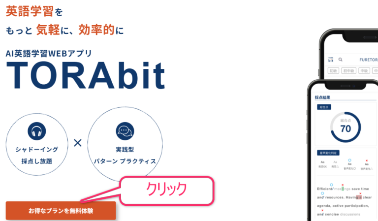 【動画あり】TORAbit(トラビット)を2か月続けた効果と口コミ評判を紹介！